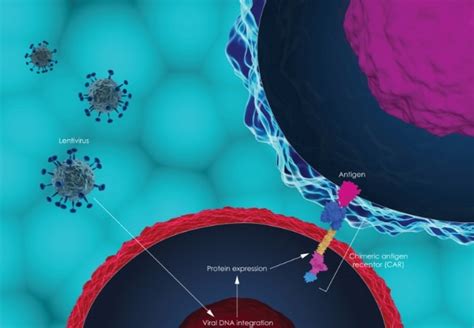 Genetically Modified Cell Therapy Esco Aster