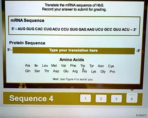 solved translate the mrna sequence of hbs record your answer to