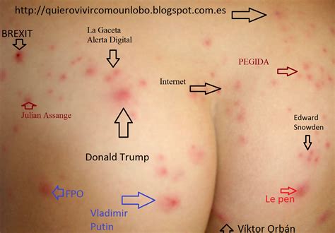 Apocalipsis 2025 Un pensador 2 0 en la gran cloaca global Sión tiene