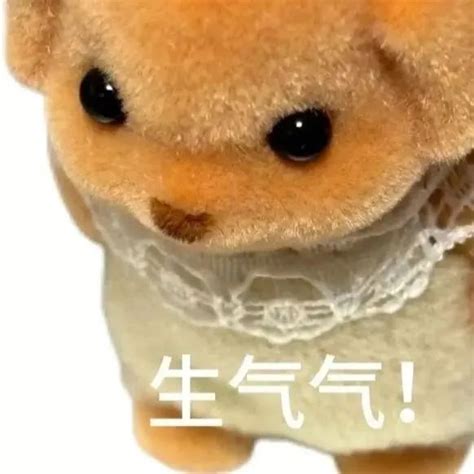 可爱毛绒玩偶一脸委屈，配文 生气气”超萌超可爱 森贝儿小狗表情包表情包图片动图 求表情网斗图从此不求人