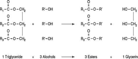1 Transesterification Reaction Used To Produce Biodiesel Esters The