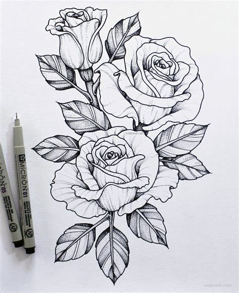 45 Beautiful Flower Drawings And Realistic Color Pencil Drawings