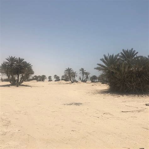 Umm Bab Beach Ce Quil Faut Savoir Pour Votre Visite Avec Critiques