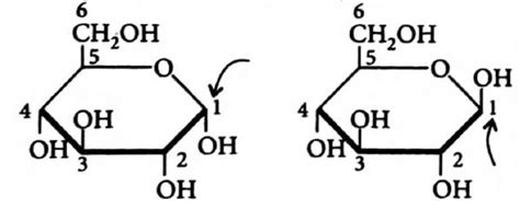 what is the relationship between the given structures look at the