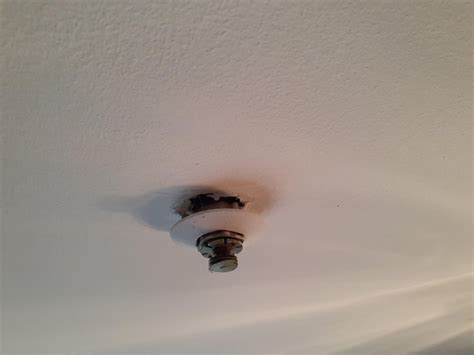 Fire Sprinker Head Popping Out Rhomemaintenance