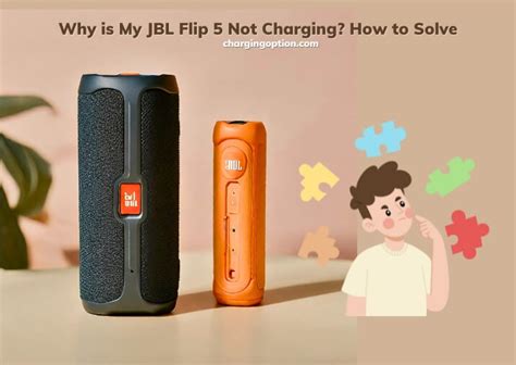 Why Is My Jbl Flip Not Charging How To Solve Charging Option