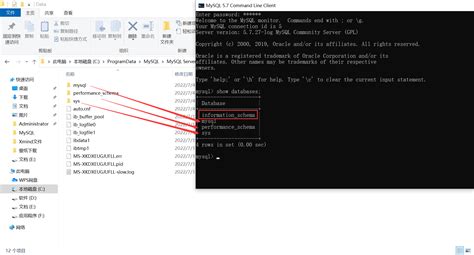 2024年c c 最全【mysql系列】mysql数据库基础 1 ，2024年最新一线大厂架构师都推荐的c c 零基础大全 c