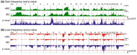 Frequency Of Gainloss In Ibc And Nibc And P Value Between Ibc And