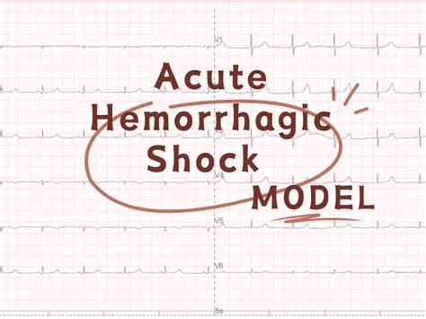 Acute Hemorrhagic Shock Model Nhp Model China Acute Hemorrhagic Shock