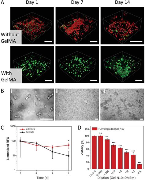 Designing Inherently Photodegradable Cell‐adhesive Hydrogels For 3d