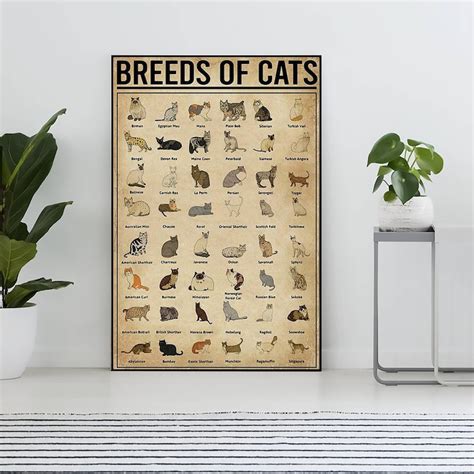 Breeds Of Cats Vintage Poster Cat Lover T Cat Art Print Cat T Idea Knowledge Poster