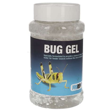 Quality Livefood And Reptile Equipment Reptiles By Post