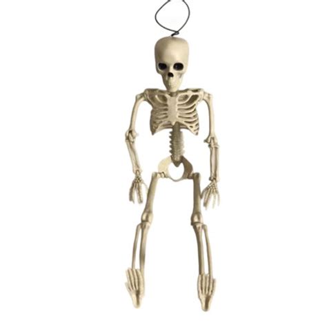 Life Size Poseable Halloween Skeleton With Flexible Joints Sturdy