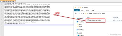 接口公网对接时用到的rsa加密 解密实现示例 rsa加密掉接口不同 csdn博客