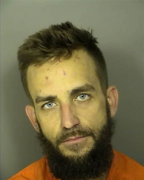 Borrelli Tyler Richard Public Disorderly Wfxb