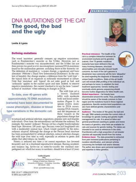 Dna Mutations Of The Cat Pdf Allele Genetics