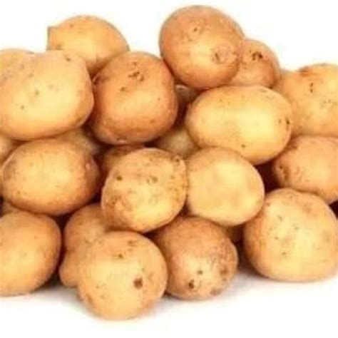 Organic Fresh Small Potato For Human Consumption Shape Round At Rs
