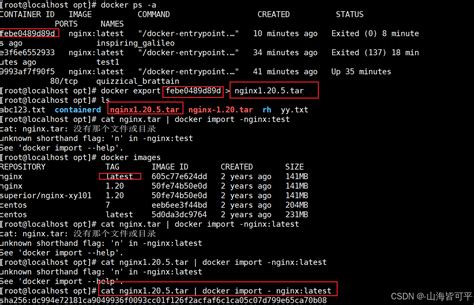 【docker】初识docker 基本概念及安装使用（巨详细版），网络安全零基础入门到精通实战教程！ Csdn博客