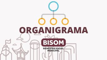 Bisom Mexicali