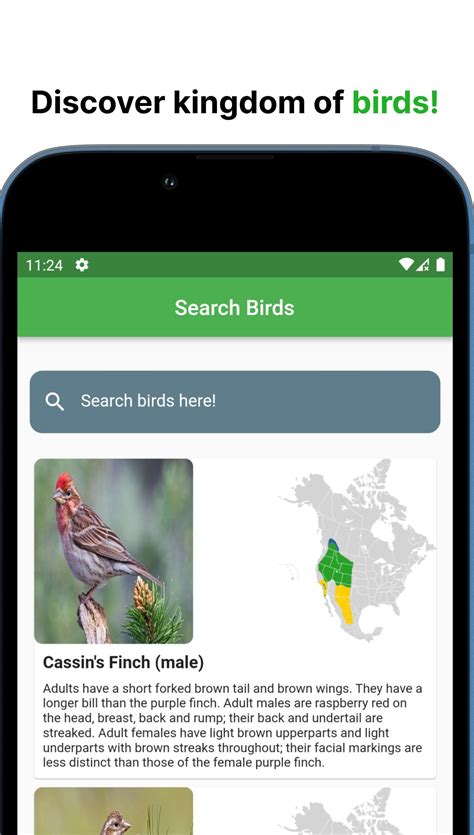 Bird Identifier Apk For Android Download