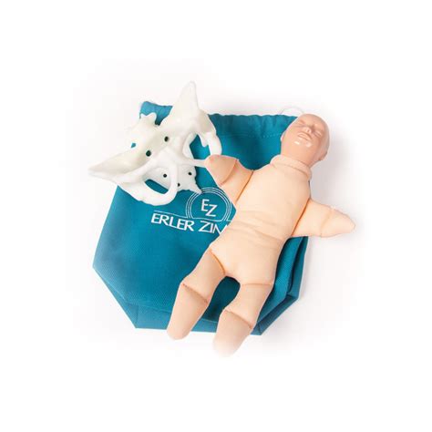 Mini Pelvis With Birthing Doll Training Models Economed
