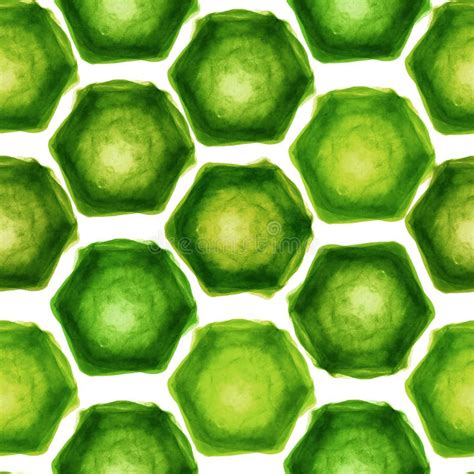 Watercolor Hexagon Grid Seamless Pattern Stock Illustration