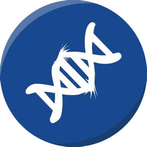 Why We Age Genomic Instability