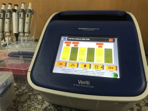 Polymerase Chain Reaction Pcr Principle Steps Applications Sciencevivid