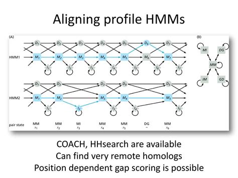 Ppt Profiles And Multiple Sequence Alignments Powerpoint Presentation