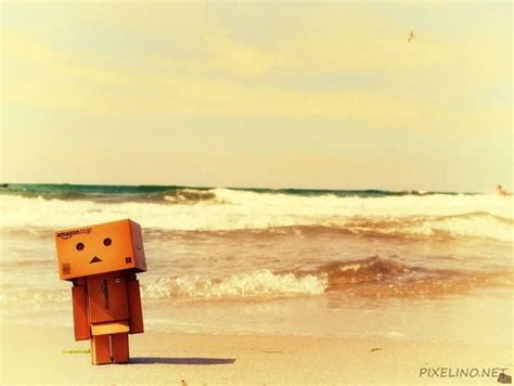 Danbo Am Strand Maik Pixelino