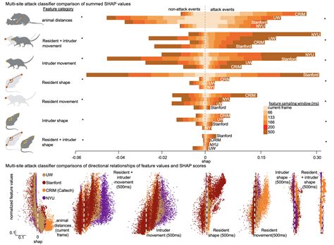 Model Explainability And Calculating Feature Shap Values In Simba