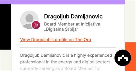 Dragoljub Damljanovic Board Member At Inicijativa „digitalna Srbija