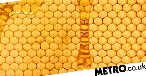 Denmark Doctors Rebuild Split Penis Using Healing Manuka Honey Metro News