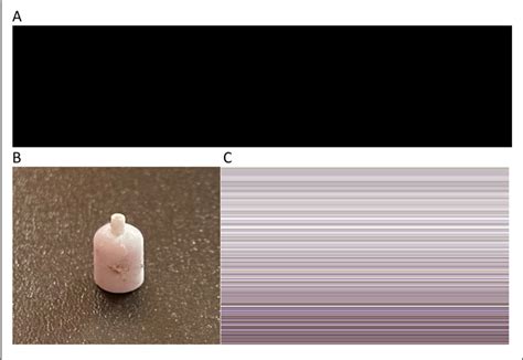 A 3d Printed Intranasal Atomizer Tip Affixed To A 1ml Pressure Syringe