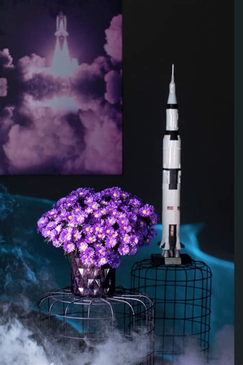 Aster Alpha® By Florensis Is Ready For Launch