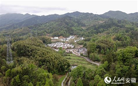 大湾村的一天凤凰网安徽凤凰网