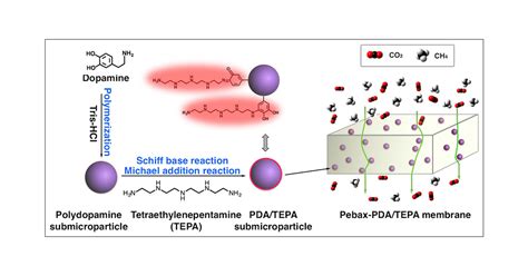 Embedding Molecular Amine Functionalized Polydopamine Submicroparticles Into Polymeric Membrane