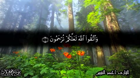 إنما المؤمنون أخوة الآيات 10 12 من سورة الحجرات للشيخ أحمد النفيس Youtube