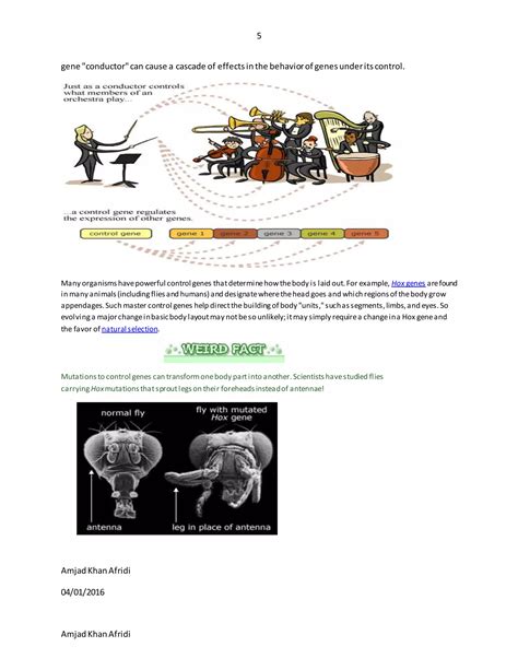 Dna And Mutation Docx