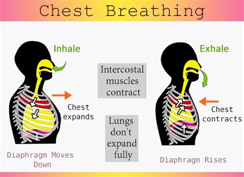 Reduce Stress With 3 Simple Breathing Exercises Breathing Exercises