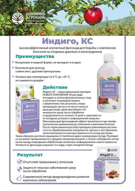 Препарат Индиго, КС флакон для плодово-ягодных культур 50 мл/100 м² ...
