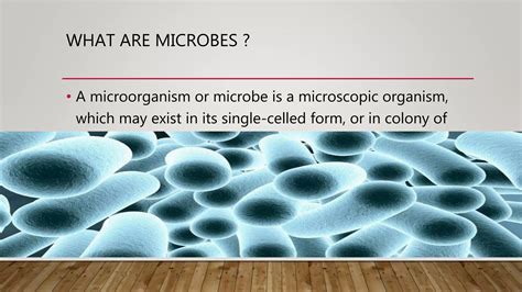 Microbial Growth Control Physical Methods Pptx