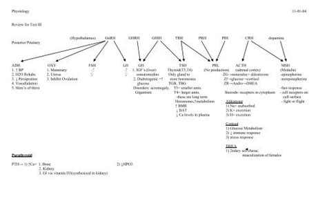 Thyroid Hormone Flow Chart A Visual Reference Of Charts Chart Master