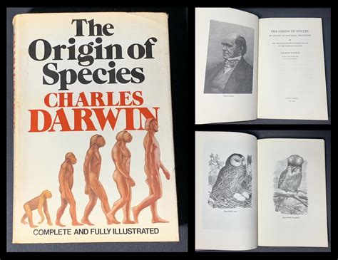 Charles Darwin Origin Of Species First Edition On The Origin Of