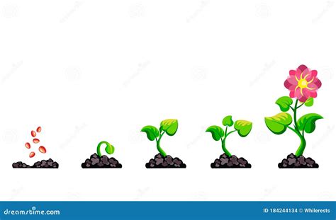 Cultivation In Pot Growth Concept Vector Illustration Cartoondealer