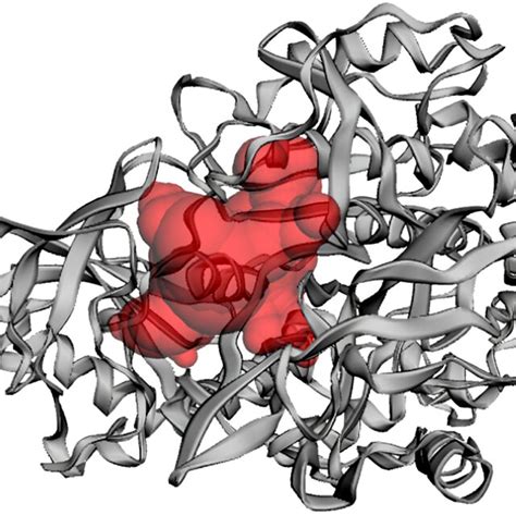 The Retrieval Of The Binding Pocket Red Color Of Native 3edy