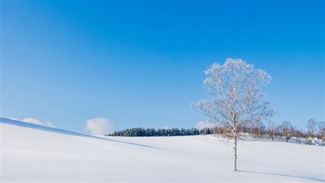 Furano Bilder Stock Fotos And Videos Adobe Stock