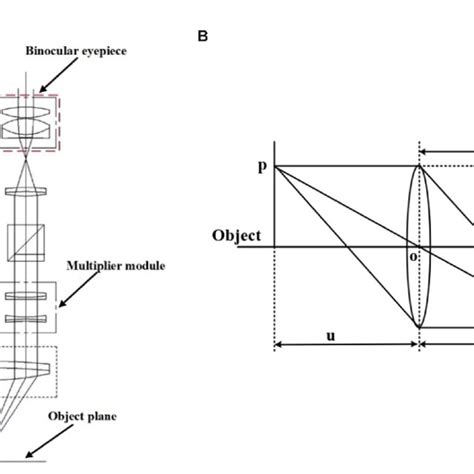 A B Are The Principle Diagram A Binocular Microscope Imaging