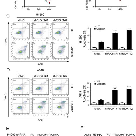 Riok1 Confers Cisplatin Resistance To Nsclc Cells A And B Mtt Assay