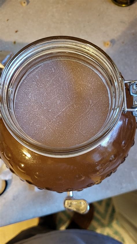 Is This A New Scoby R Kombucha